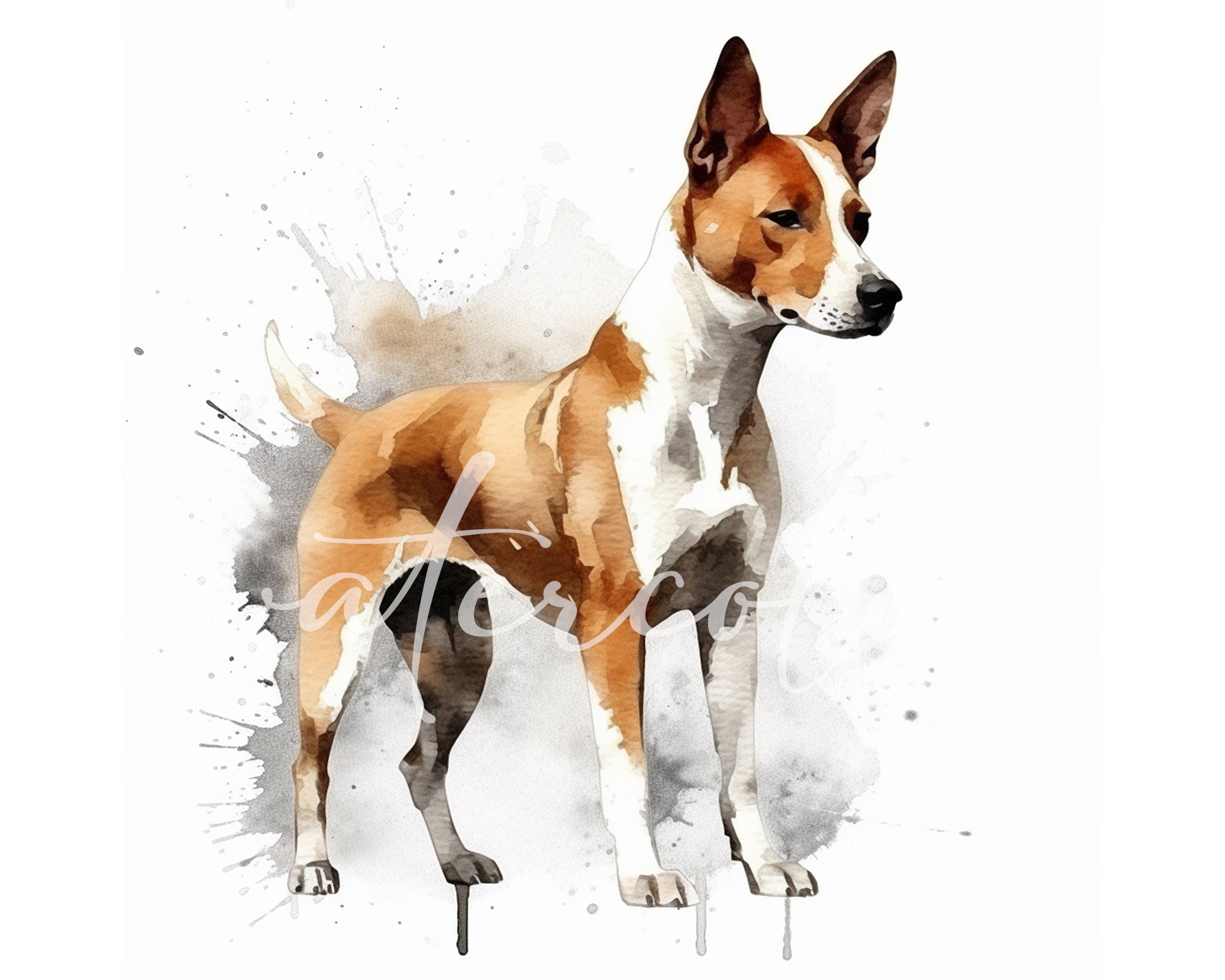 Watercolor Basenji Clipart, 12 High Quality Jpgs, Dog Clipart, Card ...