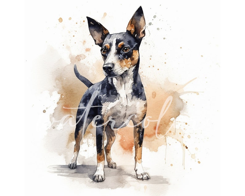 Watercolor Rat Terrier Clipart, 12 High Quality Jpgs, Dog Clipart, Card ...