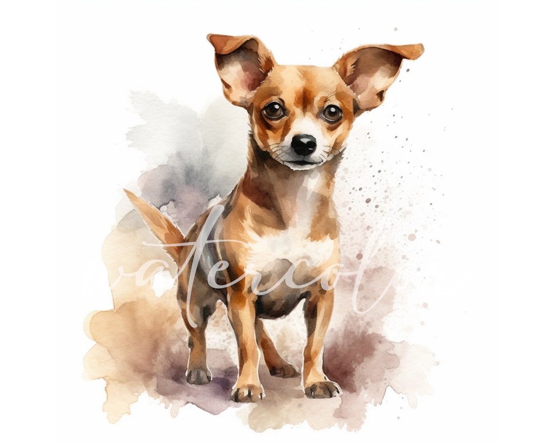 Watercolor Chiweenie Clipart, 12 High Quality Jpgs, Dog Clipart, Card ...
