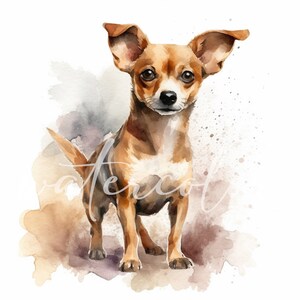 Watercolor Chiweenie Clipart, 12 High Quality Jpgs, Dog Clipart, Card ...