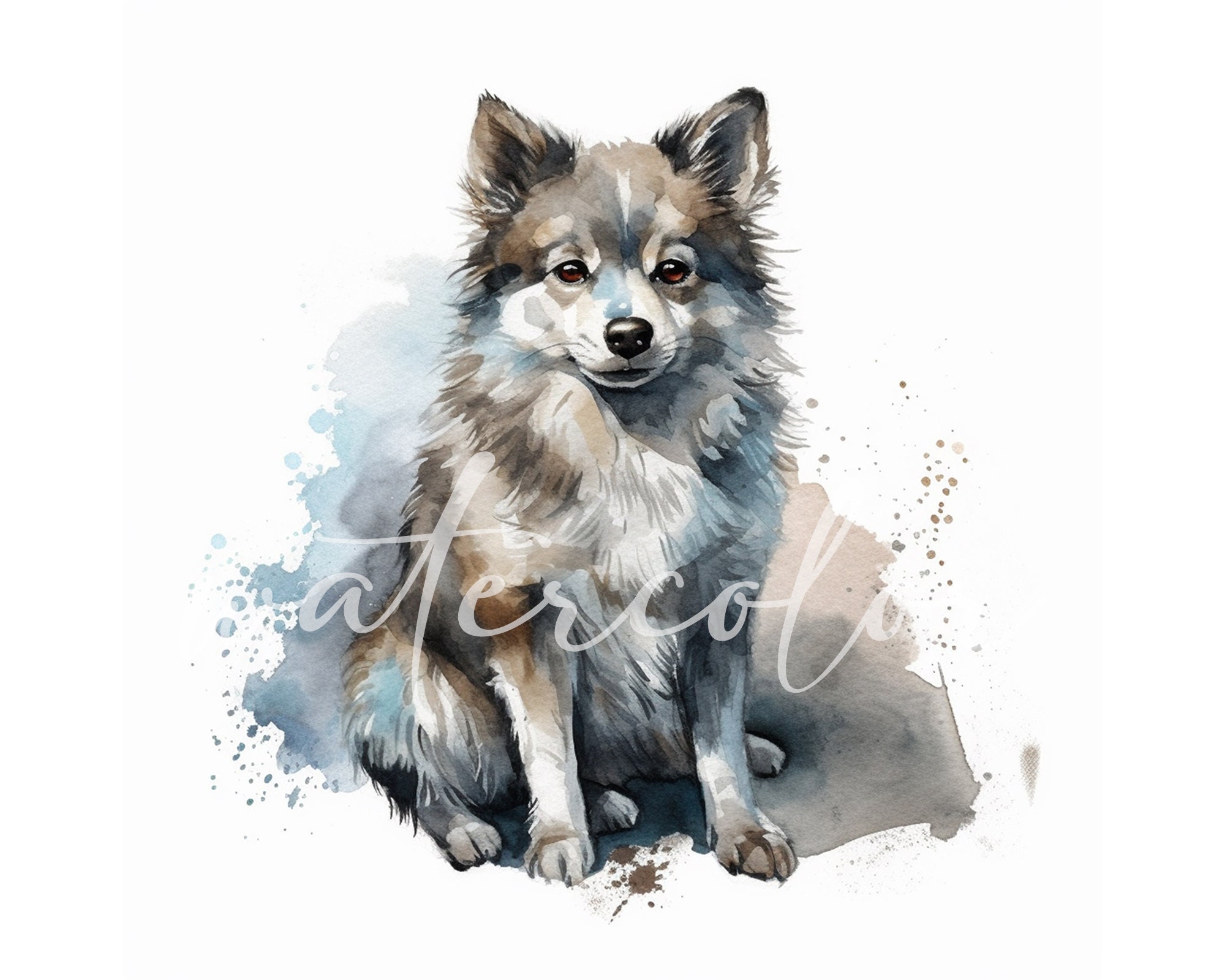 Watercolor Pomsky Clipart 12 High Quality Jpgs Dog Clipart - Etsy