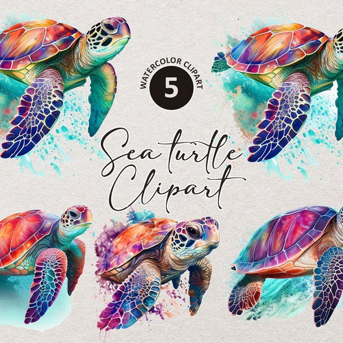 Sea Turtle Clipart Png Bundle Colorful Turtle Digital - Etsy