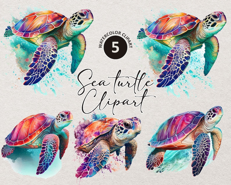 Sea Turtle Clipart, Png Bundle, Colorful Turtle, Digital Download, Sea ...