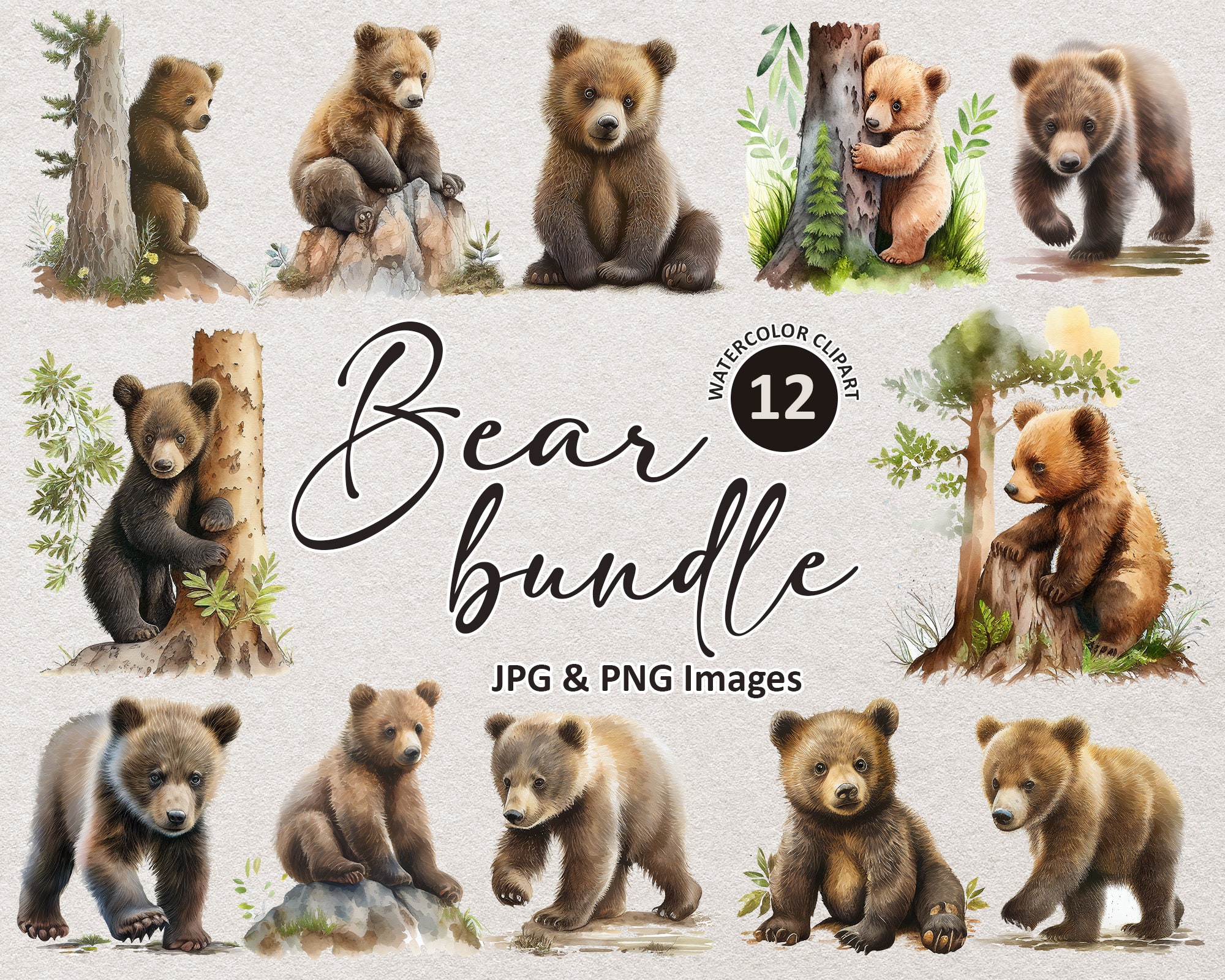 Watercolor Bear Png Bear Png Bear Art Colorful Bear Png Ai - Etsy