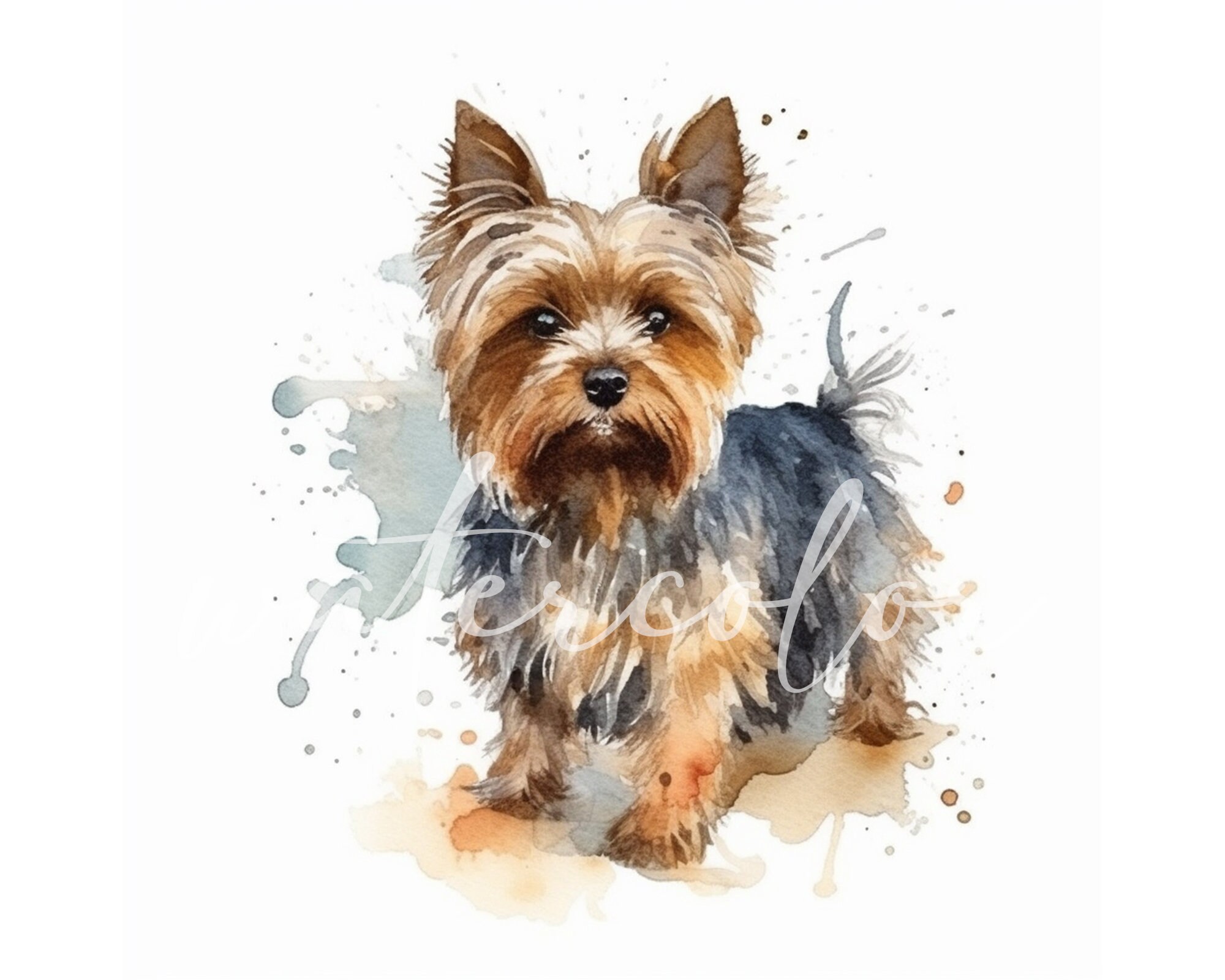 Watercolor Yorkshire Terrier Clipart, 12 High Quality Jpgs, Dog Clipart ...