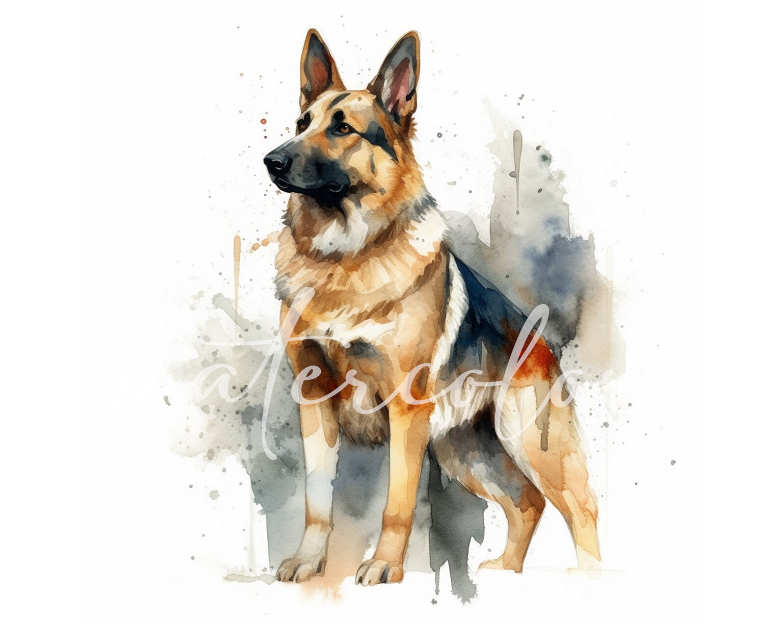 Watercolor German Shepherd Clipart, 12 High Quality Jpgs, Dog Clipart ...