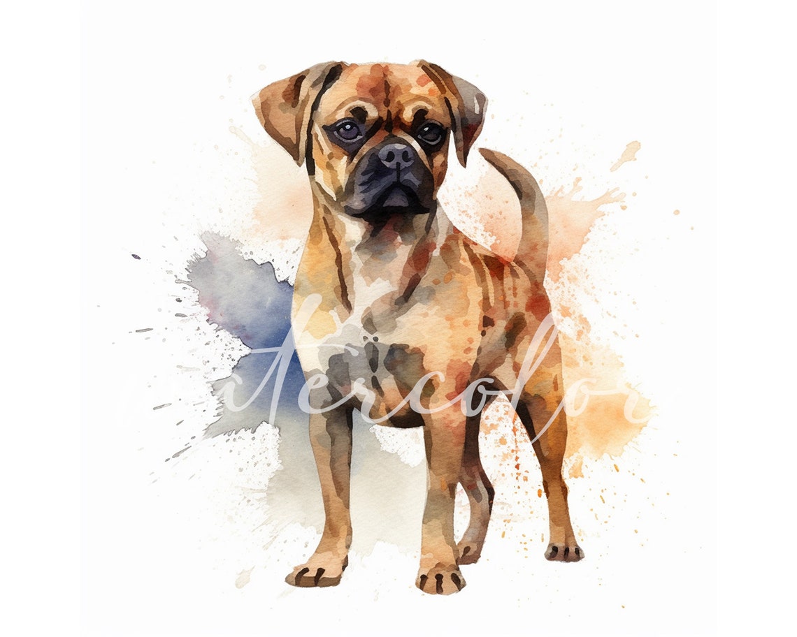 Watercolor Puggle Clipart, 12 High Quality Jpgs, Dog Clipart, Card ...