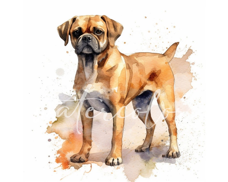 Watercolor Puggle Clipart, 12 High Quality Jpgs, Dog Clipart, Card ...