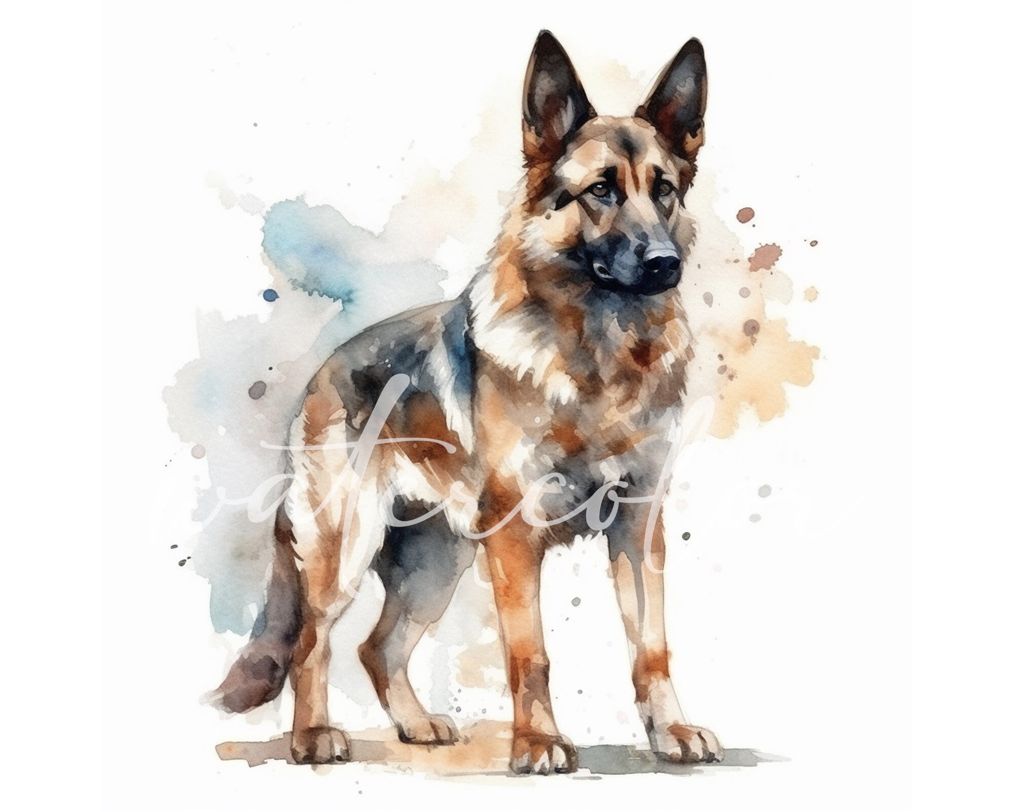 Watercolor German Shepherd Clipart, 12 High Quality Jpgs, Dog Clipart ...