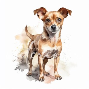 Watercolor Chiweenie Clipart, 12 High Quality Jpgs, Dog Clipart, Card ...