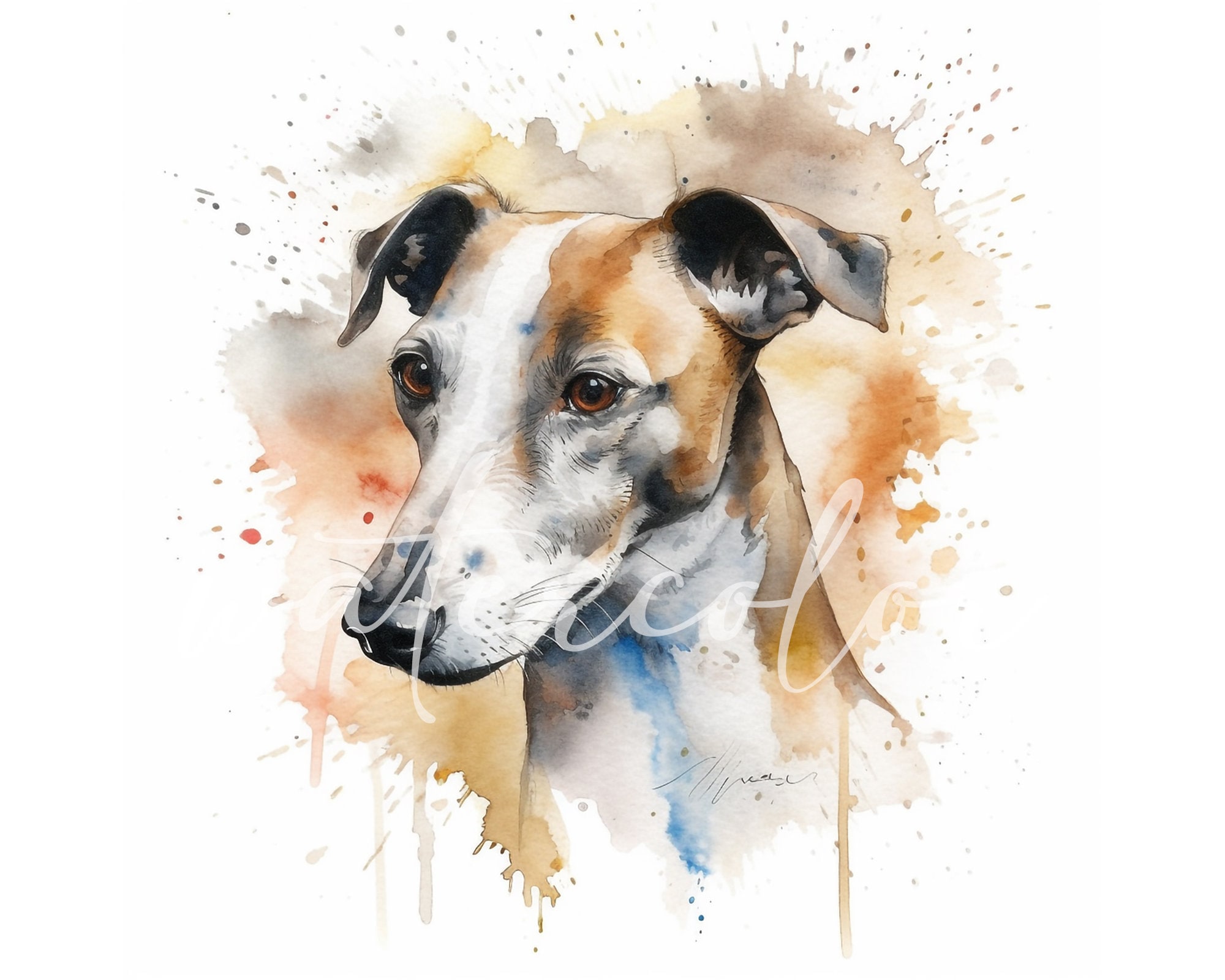 Watercolor Whippet Clipart, 12 High Quality Jpgs, Dog Clipart, Card ...