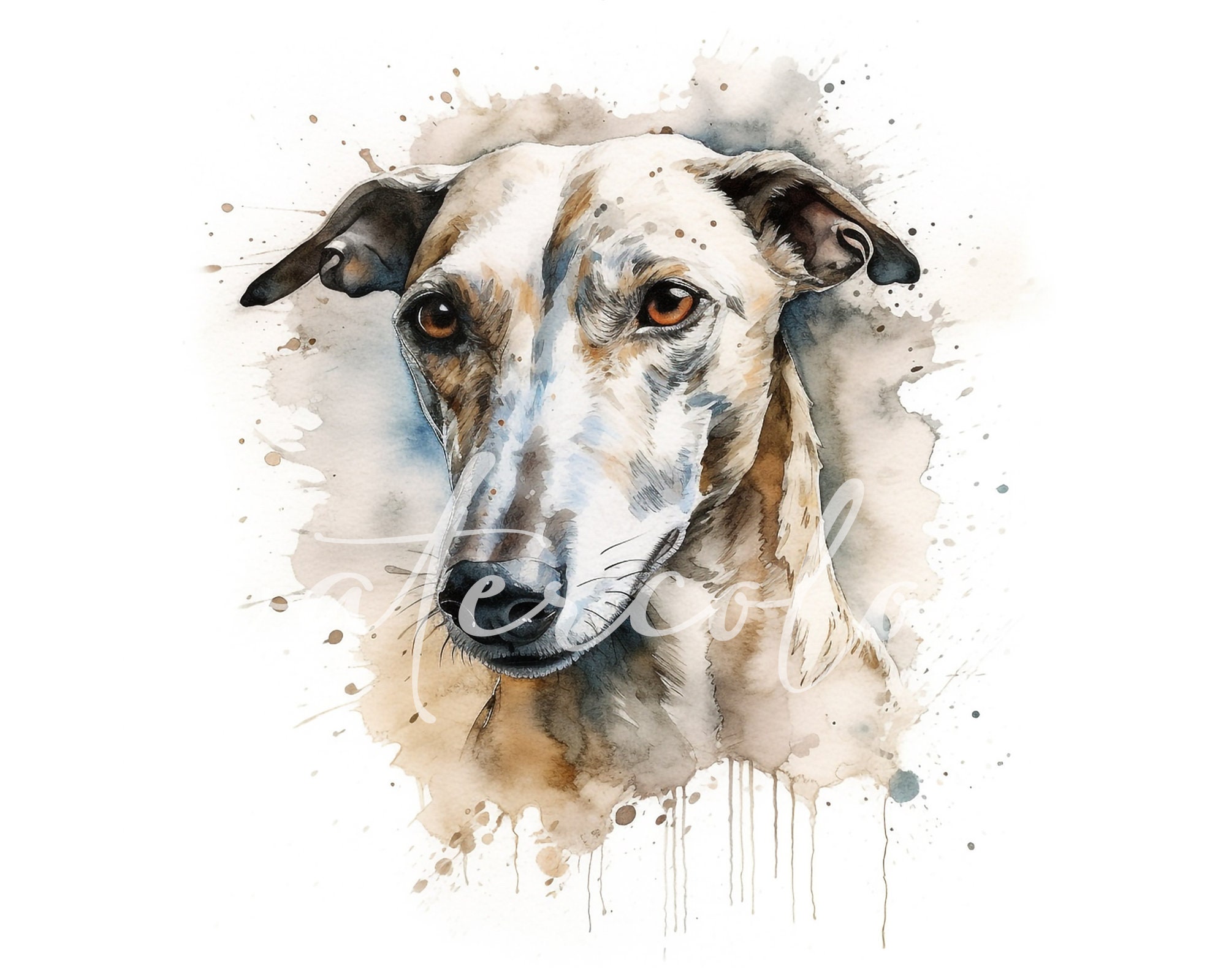 Watercolor Whippet Clipart, 12 High Quality Jpgs, Dog Clipart, Card ...