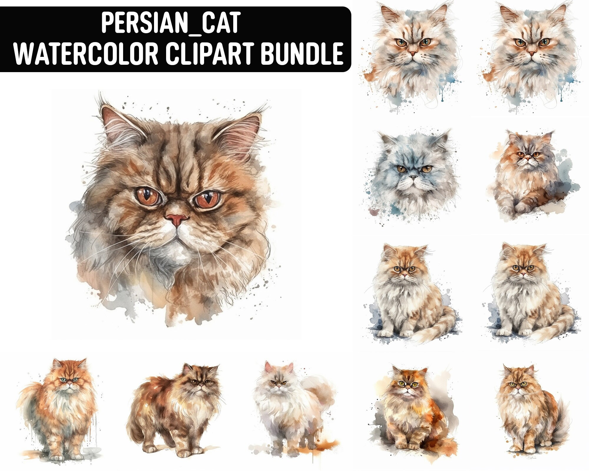 Watercolor Persian Clipart, 12 High Quality Jpgs, Cat Clipart, Card ...