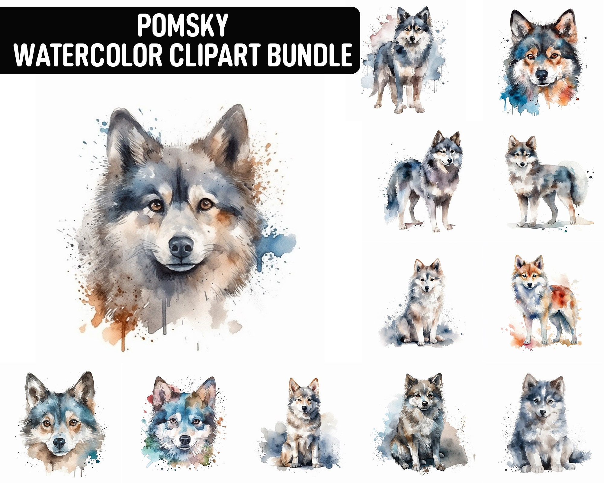 Watercolor Pomsky Clipart, 12 High Quality Jpgs, Dog Clipart, Card ...