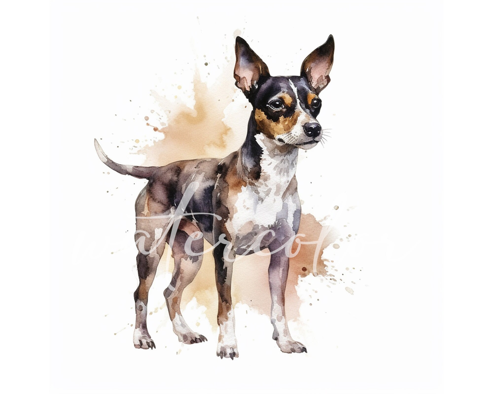 Watercolor Rat Terrier Clipart, 12 High Quality Jpgs, Dog Clipart, Card ...