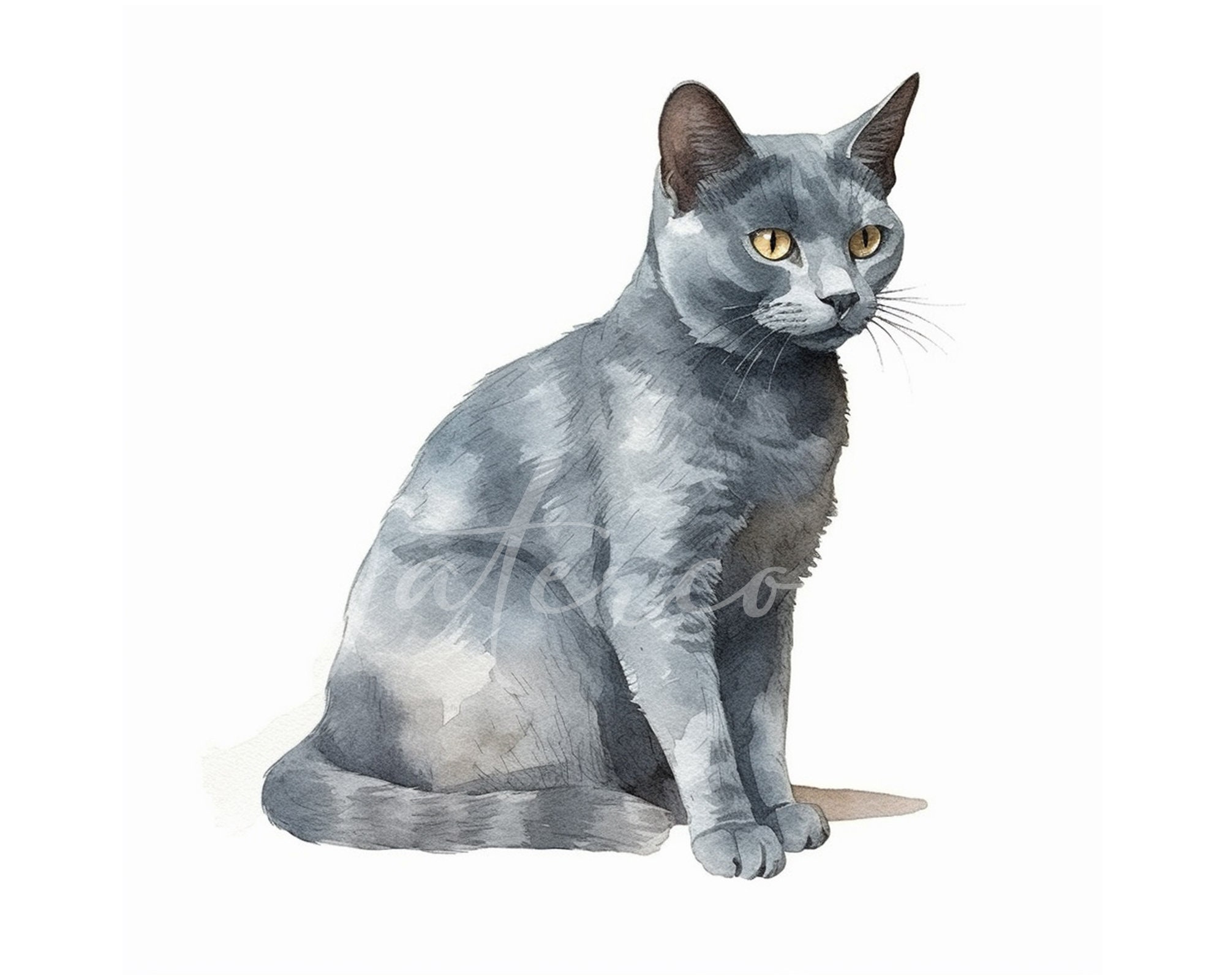 Watercolor Korat Clipart 12 High Quality Jpgs Cat Clipart - Etsy