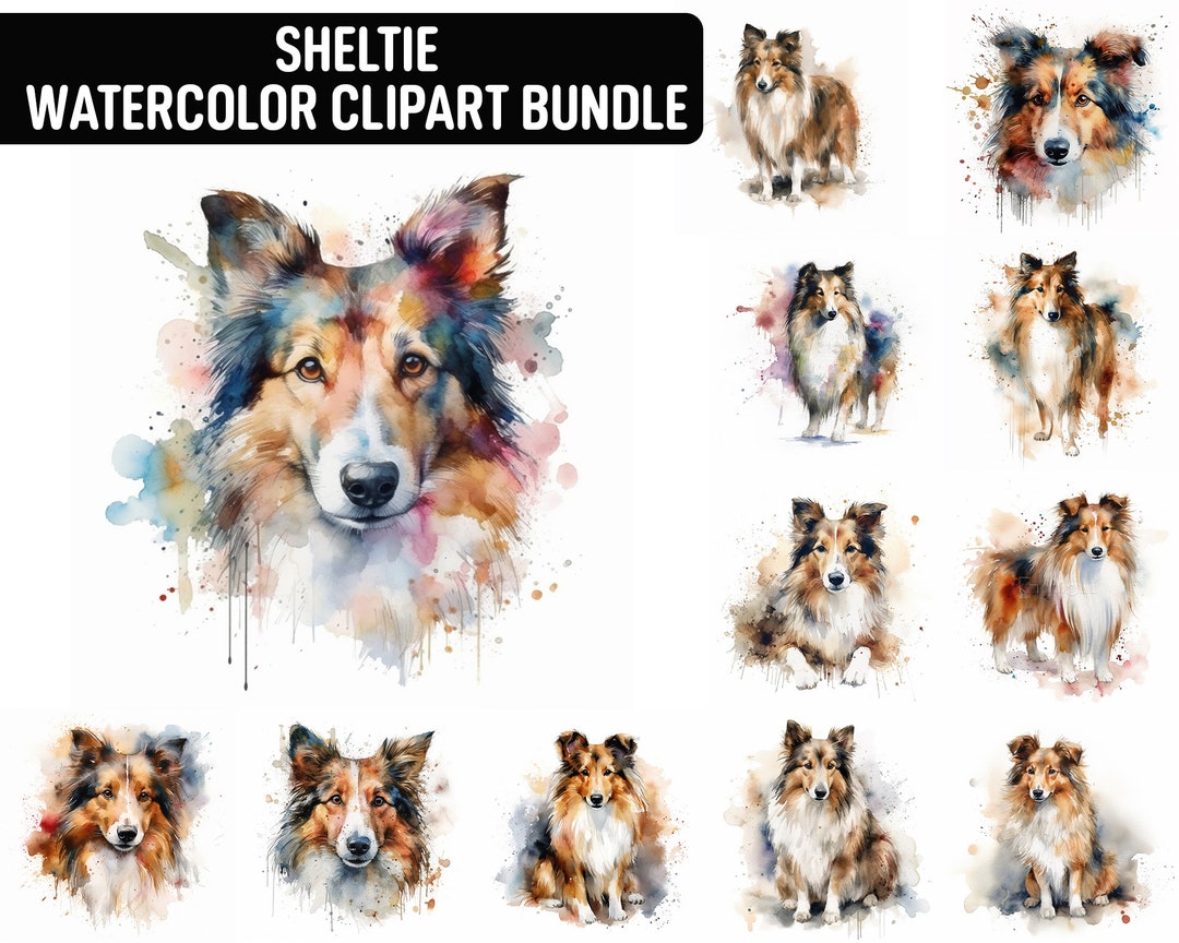 Watercolor Sheltie Clipart, 12 High Quality Jpgs, Dog Clipart, Card ...