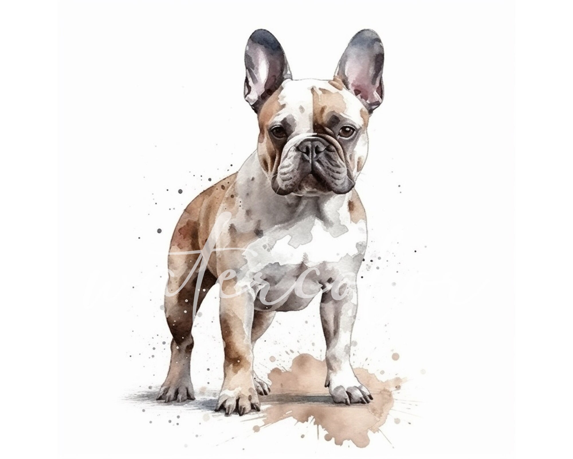 Watercolor French Bulldog Clipart, 12 High Quality Jpgs, Dog Clipart ...