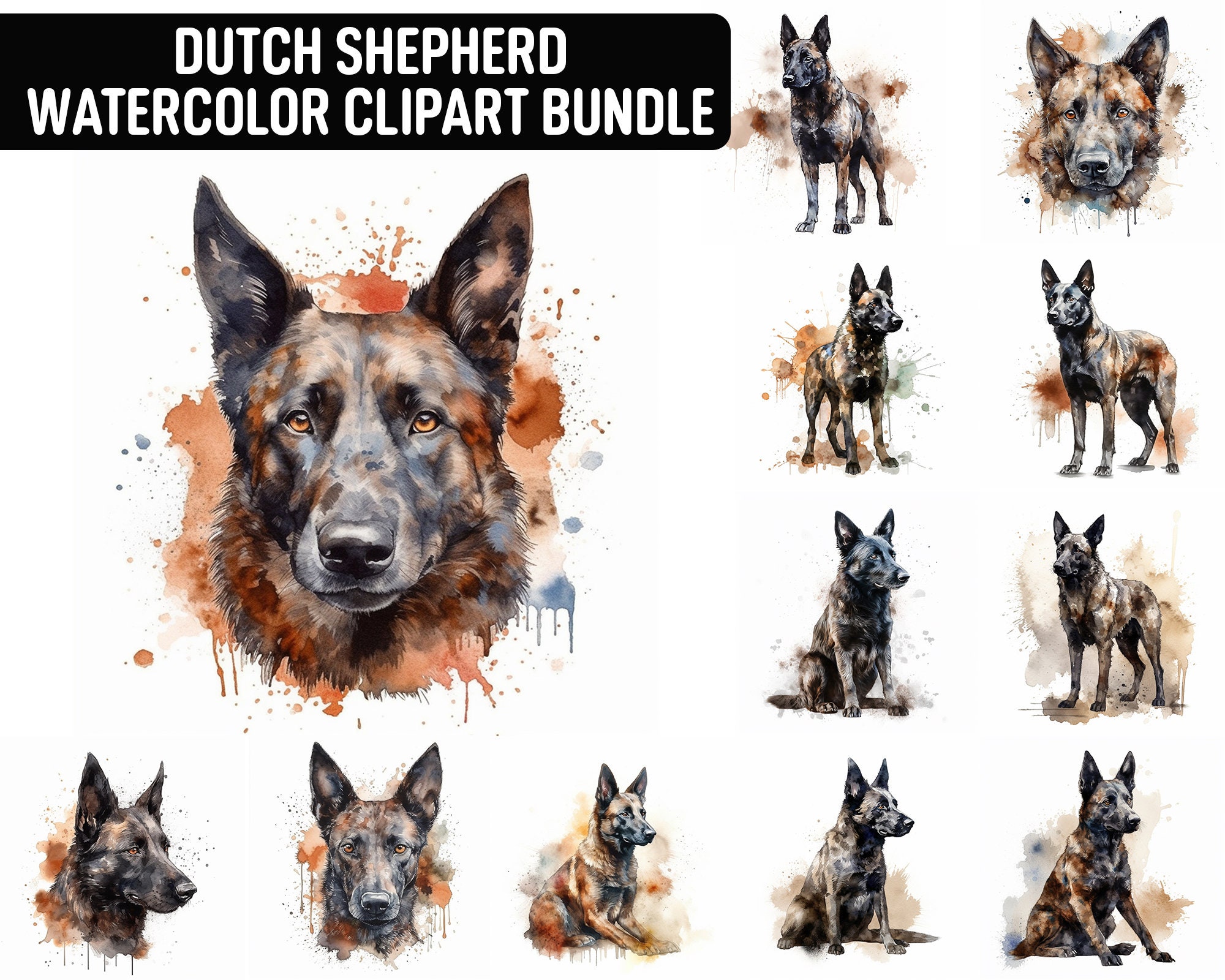 Watercolor Dutch Shepherd Clipart, 12 High Quality Jpgs, Dog Clipart ...