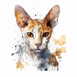 Watercolor Cornish Rex Clipart 12 High Quality Jpgs Cat - Etsy