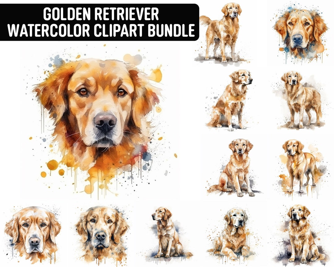 Watercolor Golden Retriever Clipart, 12 High Quality Jpgs, Dog Clipart ...