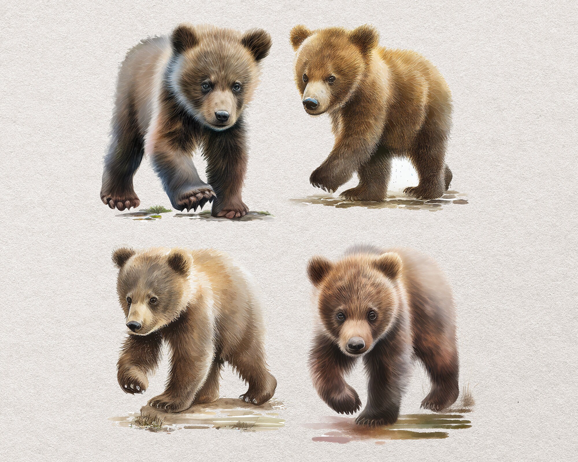 Watercolor Bear Png Bear Png Bear Art Colorful Bear Png Ai - Etsy