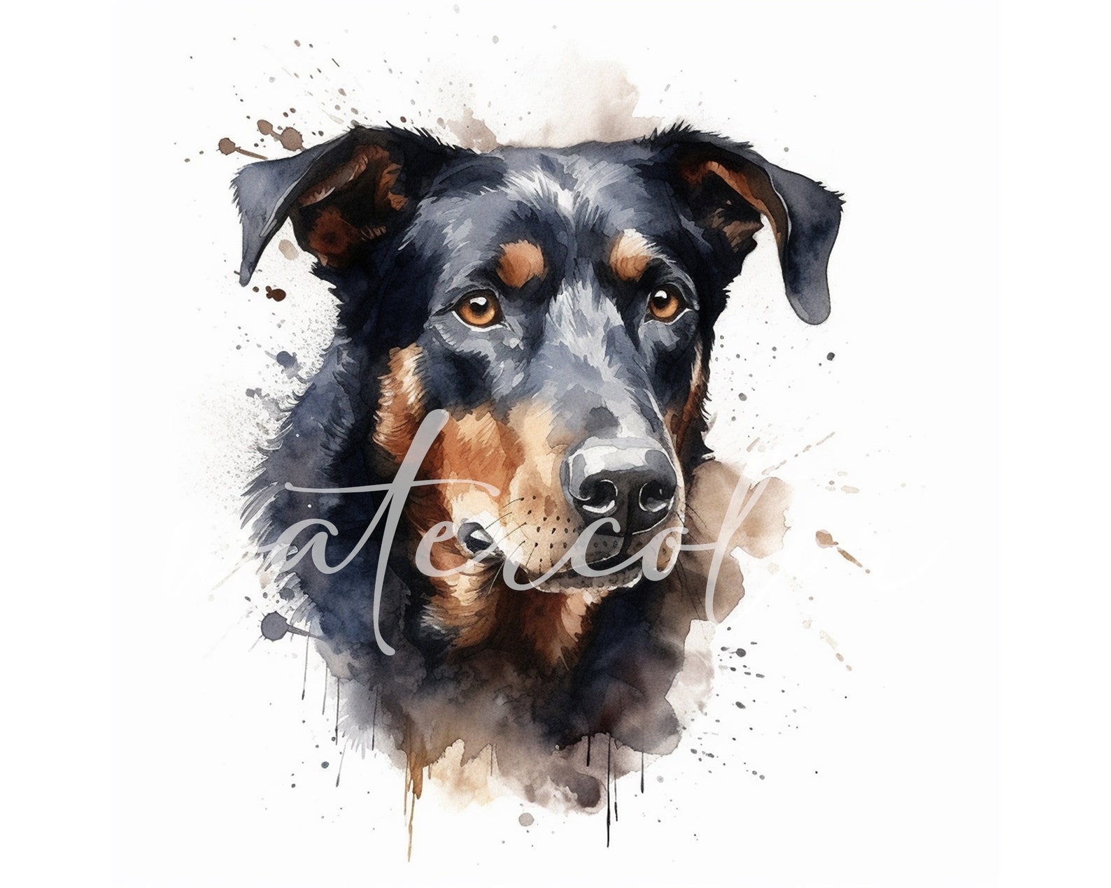 Watercolor Beauceron Clipart, 12 High Quality Jpgs, Dog Clipart, Card ...