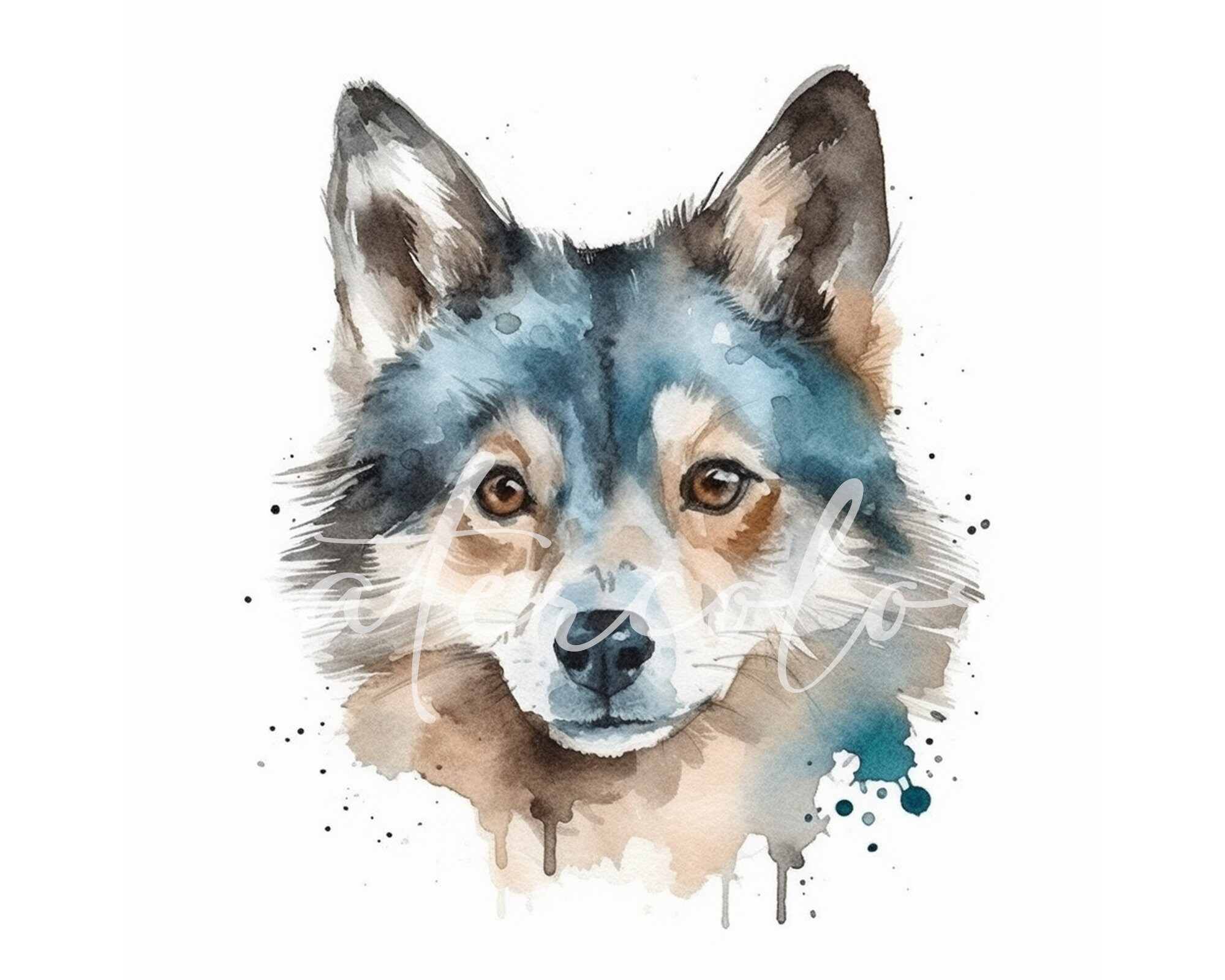 Watercolor Pomsky Clipart 12 High Quality Jpgs Dog Clipart - Etsy
