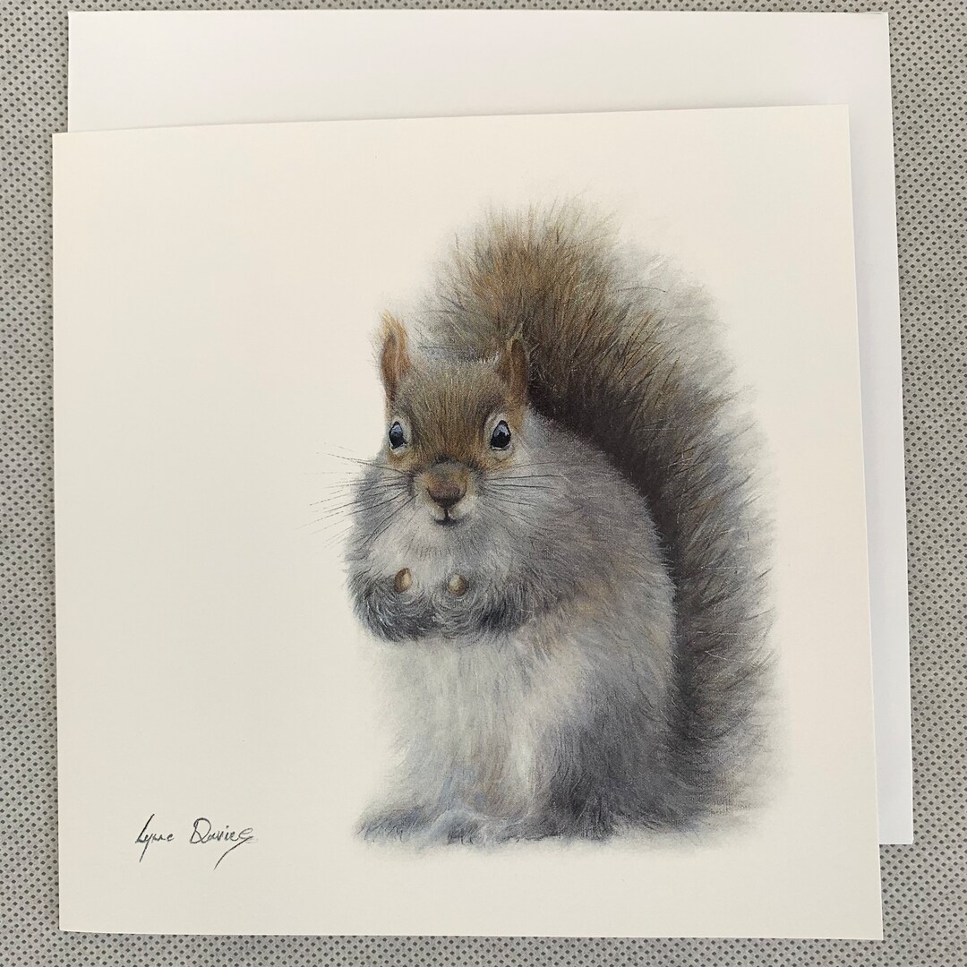 Squirrel Greetings Card - Etsy