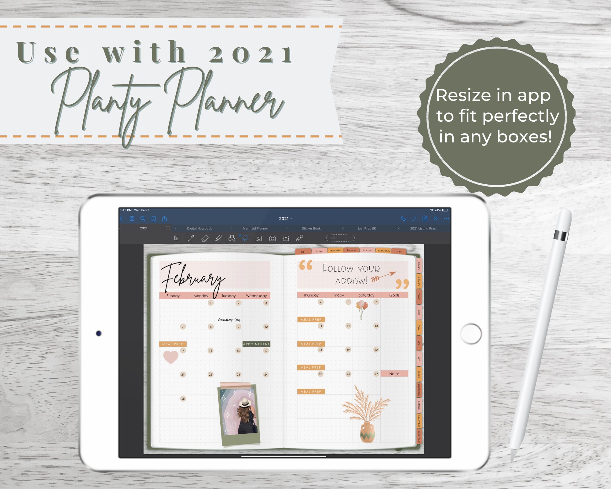 Digital Planner Sticker Set Pre-cropped Sticker Pack for Goodnotes 269 ...