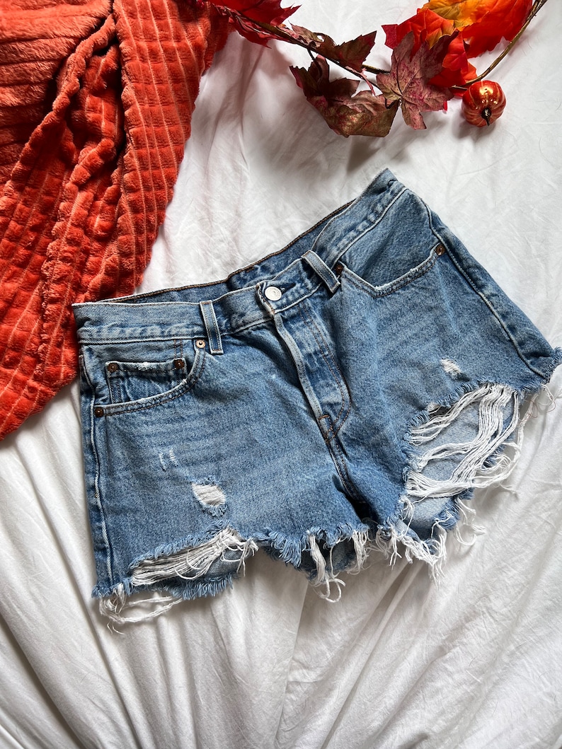 Thrifted Levi's Hand Embroidered Denim Cut off Jean Shorts / Size:27 - Etsy