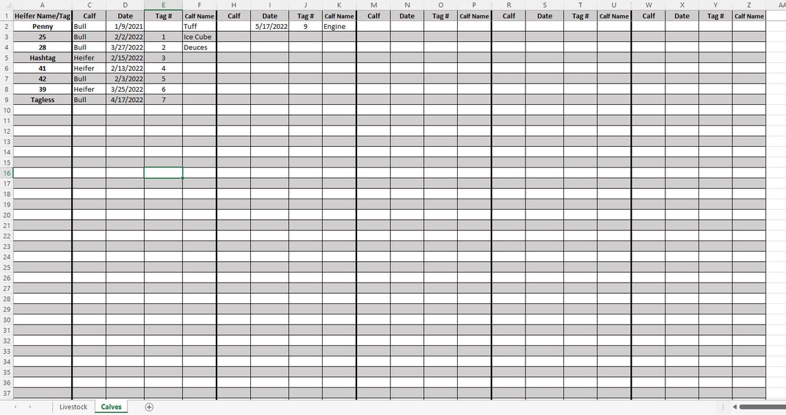 Livestock Records Spreadsheet - Etsy
