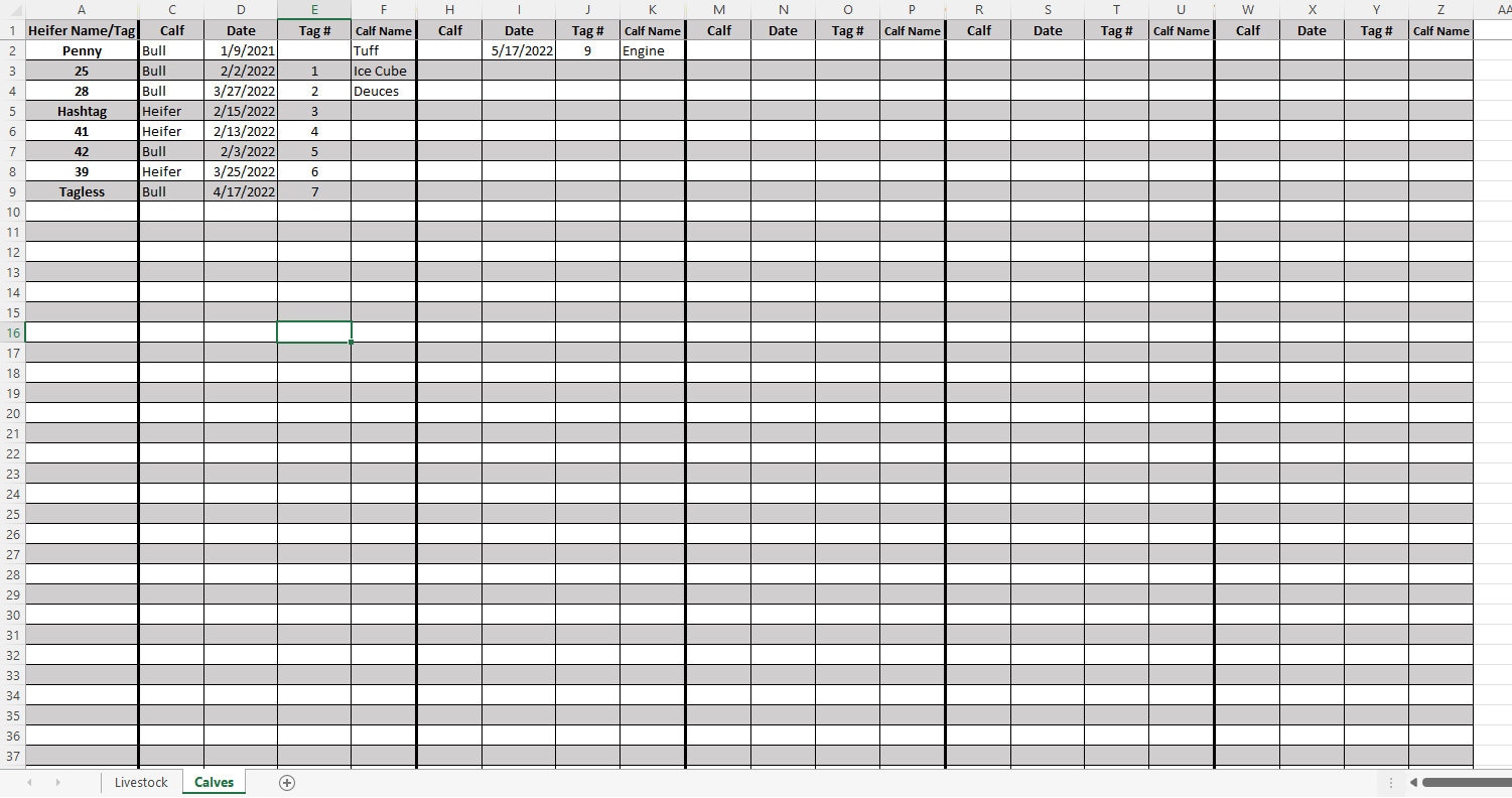 Livestock Records Spreadsheet - Etsy