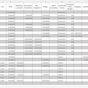 Livestock Records Spreadsheet - Etsy