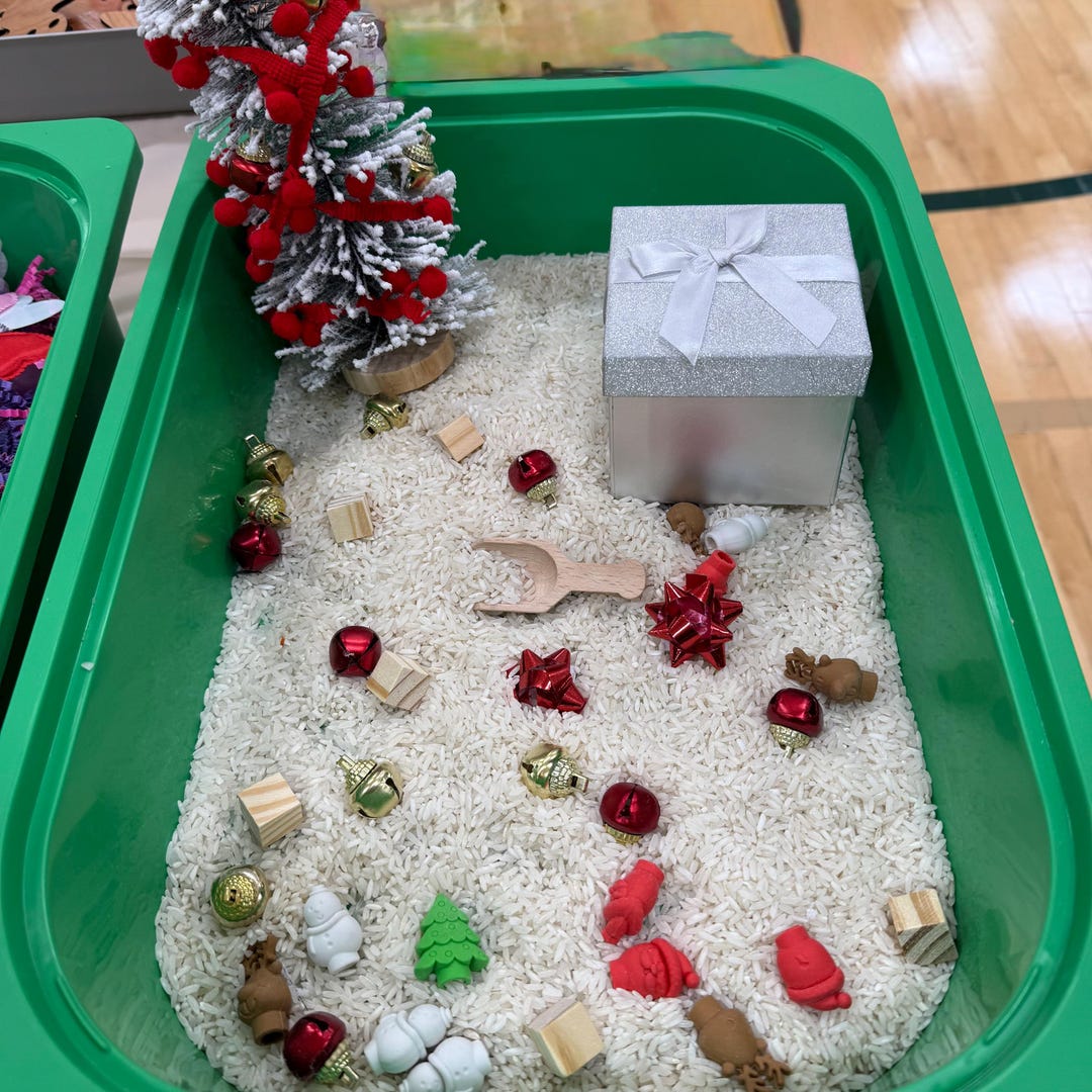 Christmas Themed Sensory Bin - Etsy