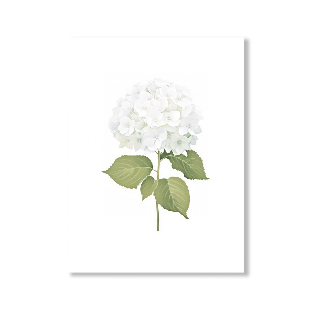 Buy Hydrangea Print Download, Digital Prints, Floral Print for Nursery ...