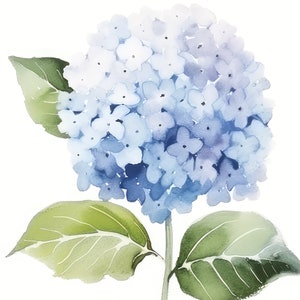 Hydrangea Printable, Hydrangea Print Download, Digital Prints, Blue ...