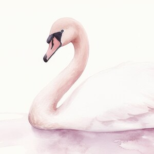Swan Print, Pink Nursery Watercolor Painting, Cute Girl Balletcore ...