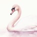 Swan Print, Pink Nursery Watercolor Painting, Cute Girl Balletcore ...