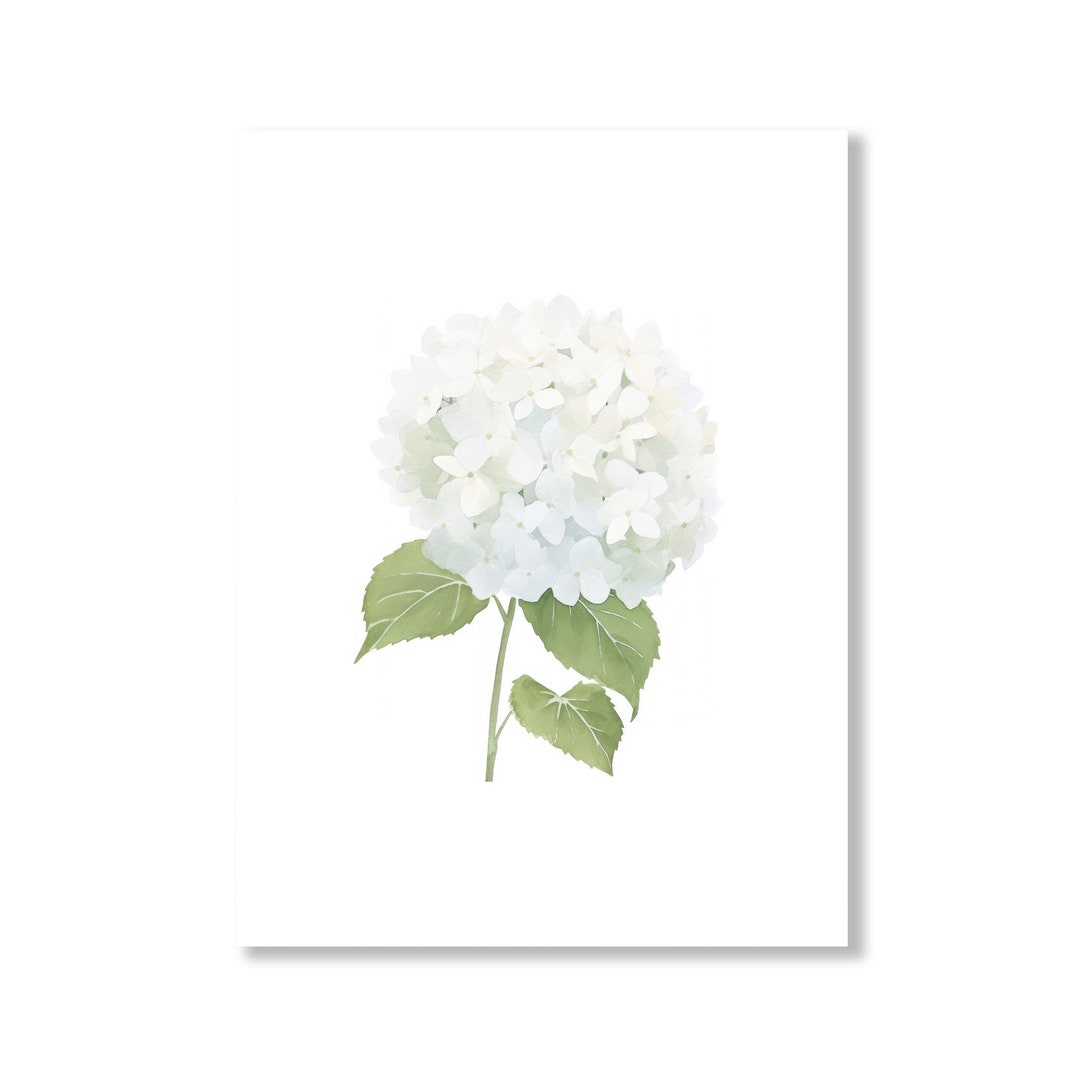 White Hydrangea Print: Modern Floral Wall Art (digital Download) - Etsy