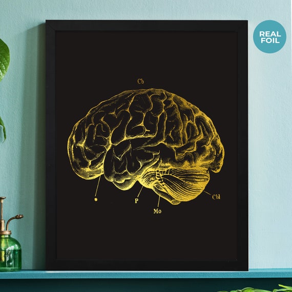 Human Brain Anatomy Print Medical Student Neuroscience Art - Etsy Canada