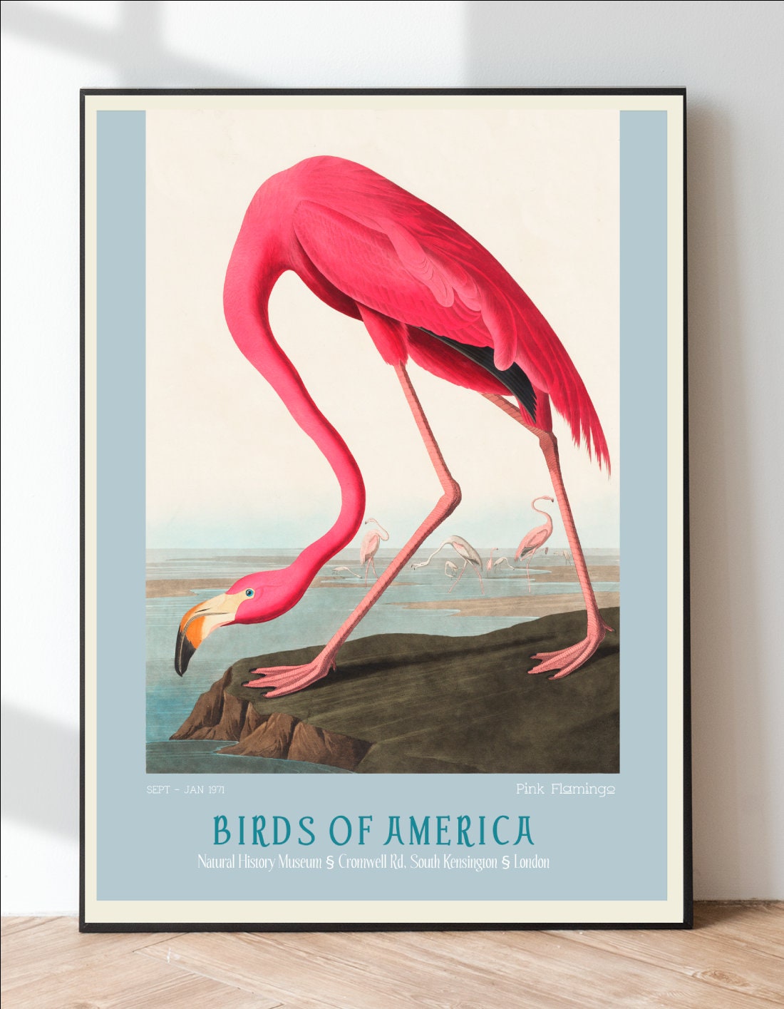 PINK FLAMINGO POSTER Animal Posterbird Postervintage - Etsy