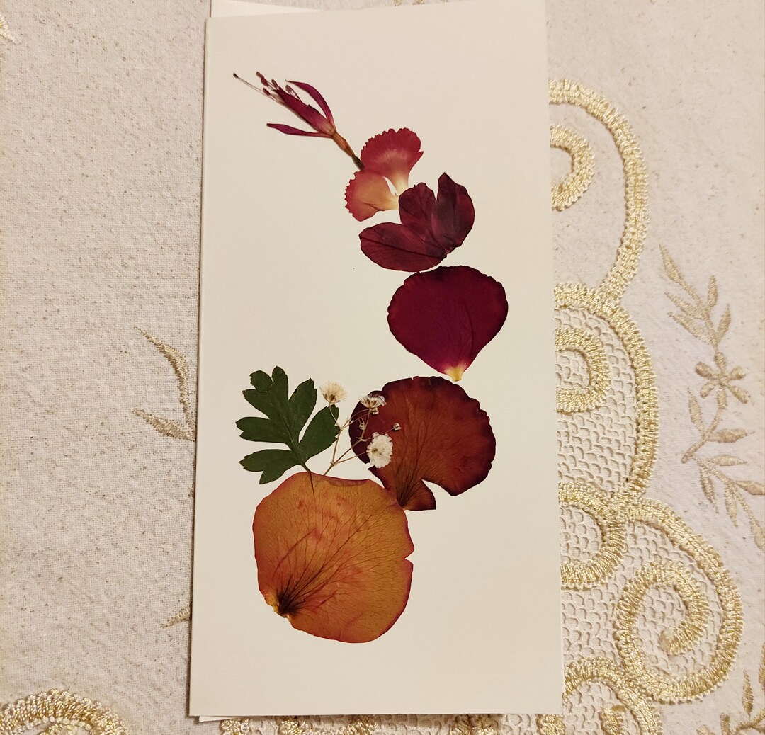 Real seco, DEVON Flores / Hojas Tarjetas. 21 X 10.5cm tamaño. Cada ...