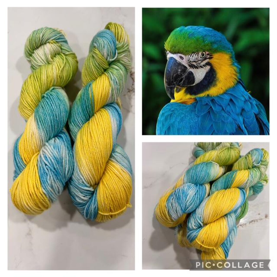 Hand Dyed DK Yarn: Macaw Blue Yellow Green, Merino Wool Cotton Blend - Etsy