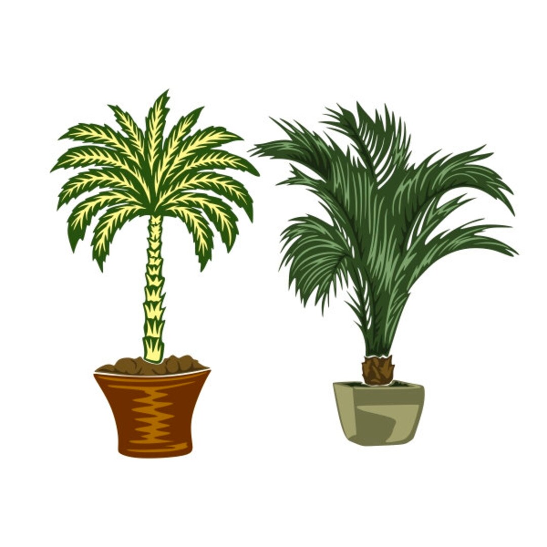 Palm Tree Pot Cuttable Design SVG PNG DXF & Eps Designs Cricut Cameo ...