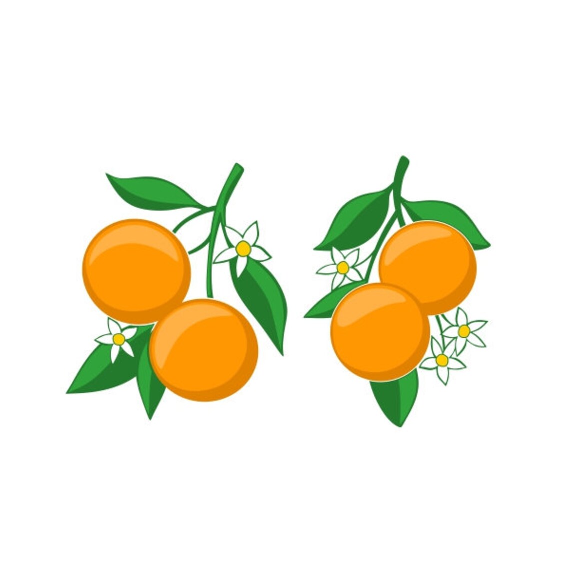 Fruit Oranges Branch Cuttable Design SVG PNG DXF & Eps Designs - Etsy