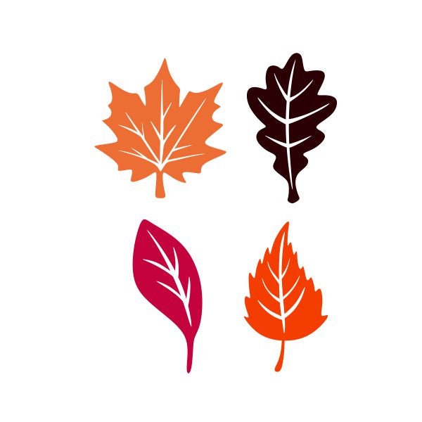 Fall Leaves Cuttable Design SVG PNG DXF & Eps Designs Cricut Cameo File ...