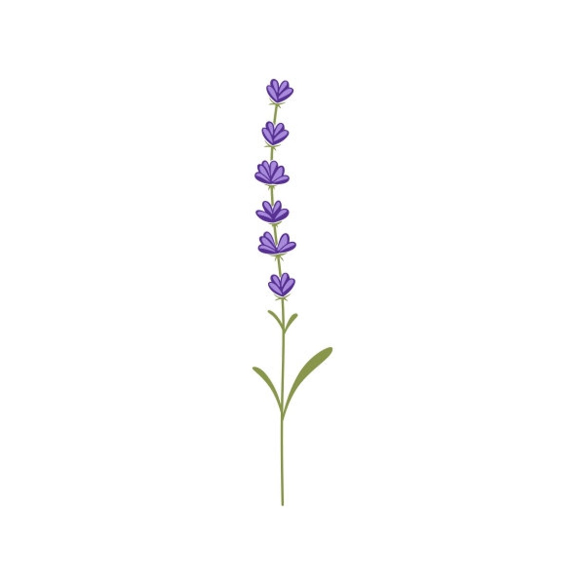 Lavender Flower Bouquet Cuttable Design SVG PNG DXF & Eps | Etsy