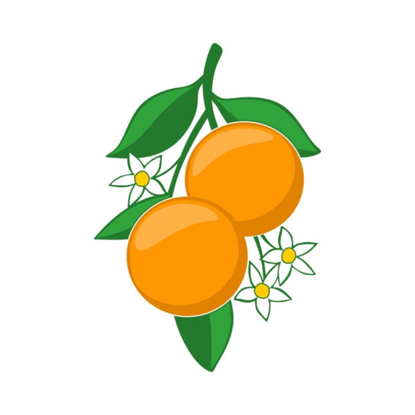 Fruit Oranges Branch Cuttable Design SVG PNG DXF & Eps Designs - Etsy