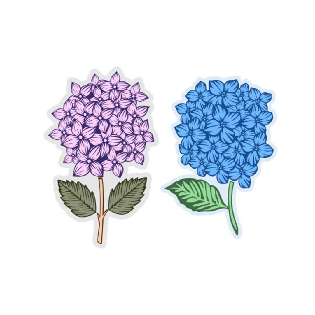 Hydrangea Flower Cuttable Design SVG PNG DXF & Eps Designs Cricut Cameo ...